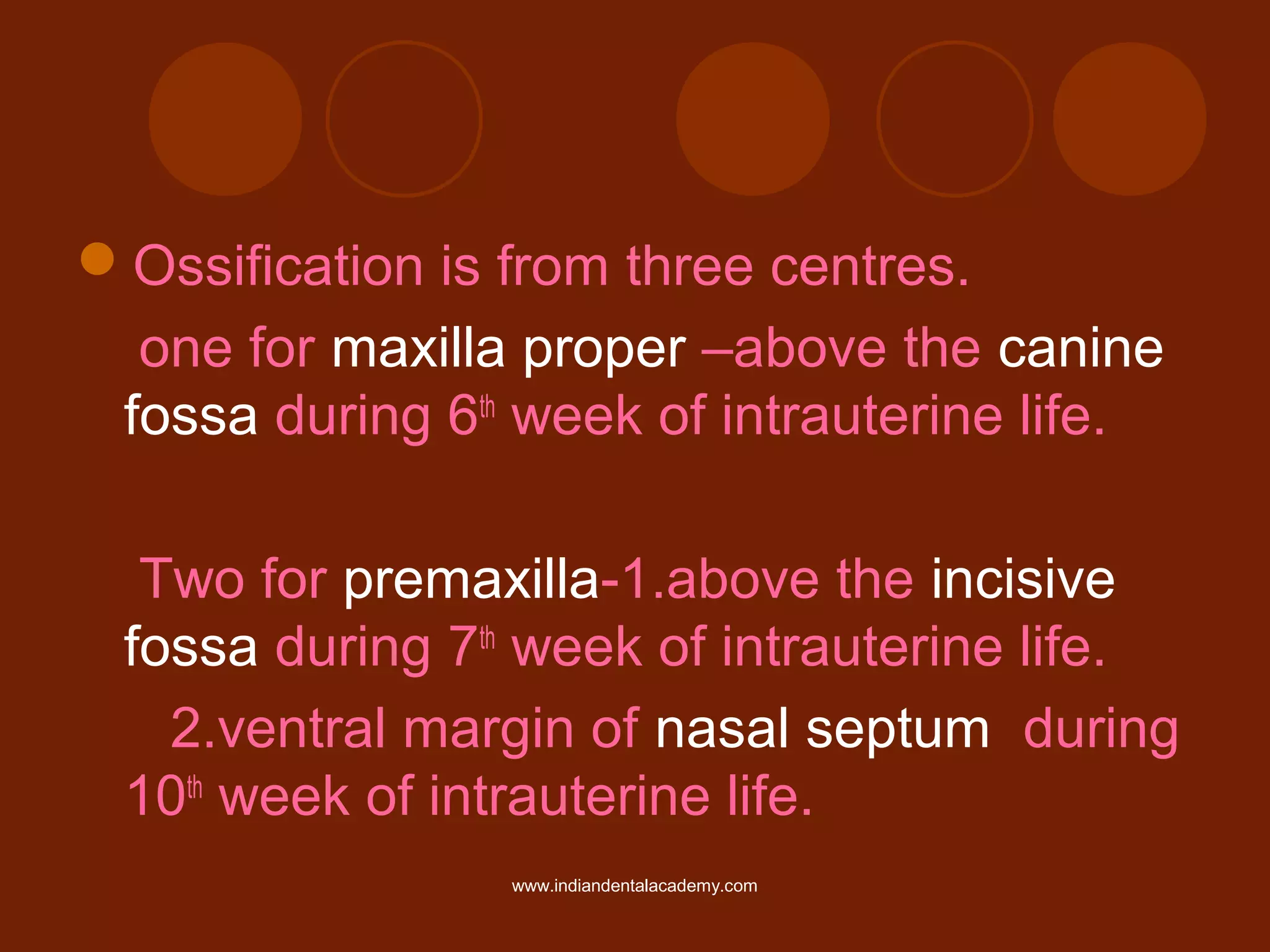 Osteology of maxilla and mandible / oral surgery courses | PPT