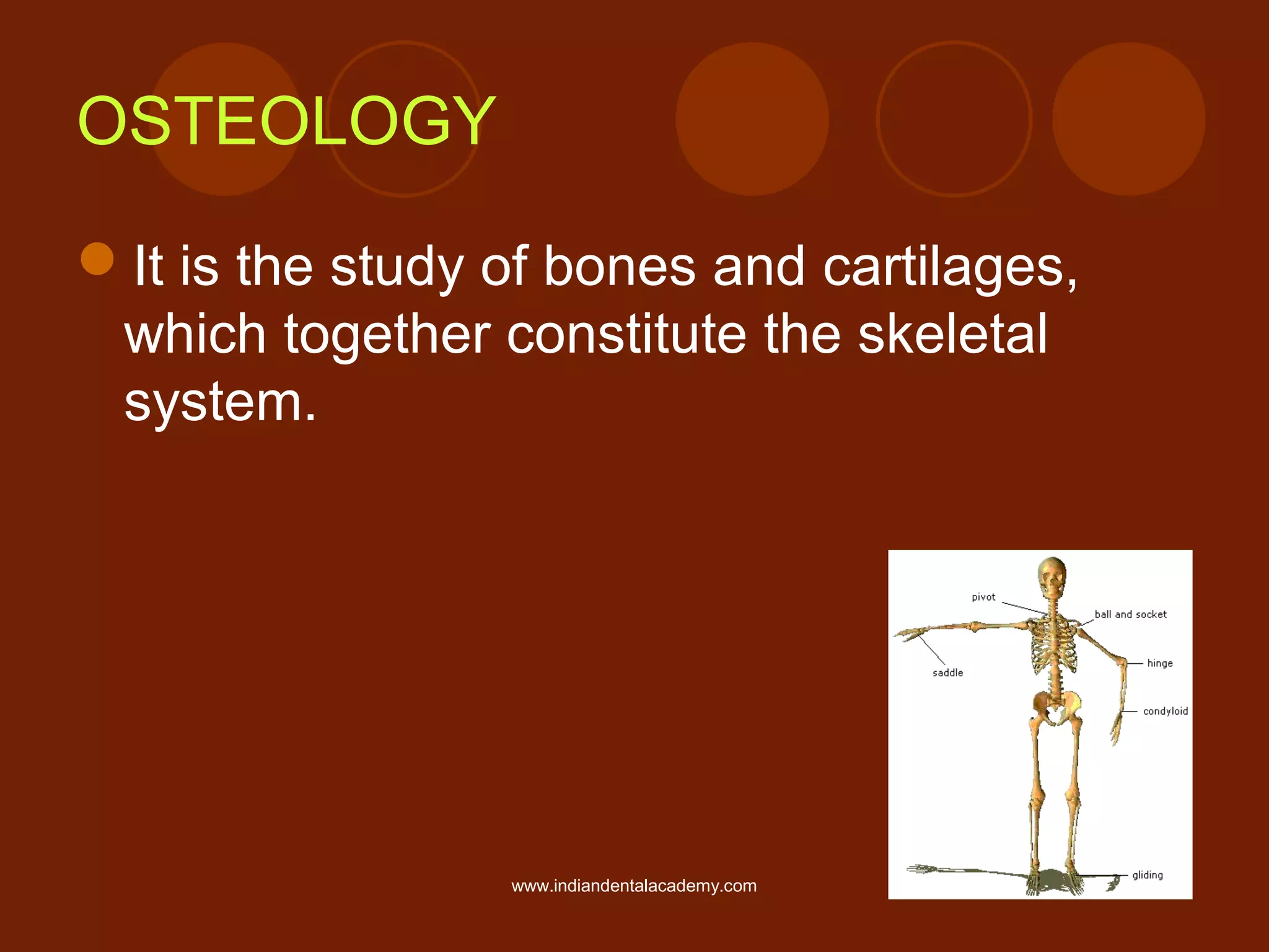Osteology of maxilla and mandible / oral surgery courses | PPT