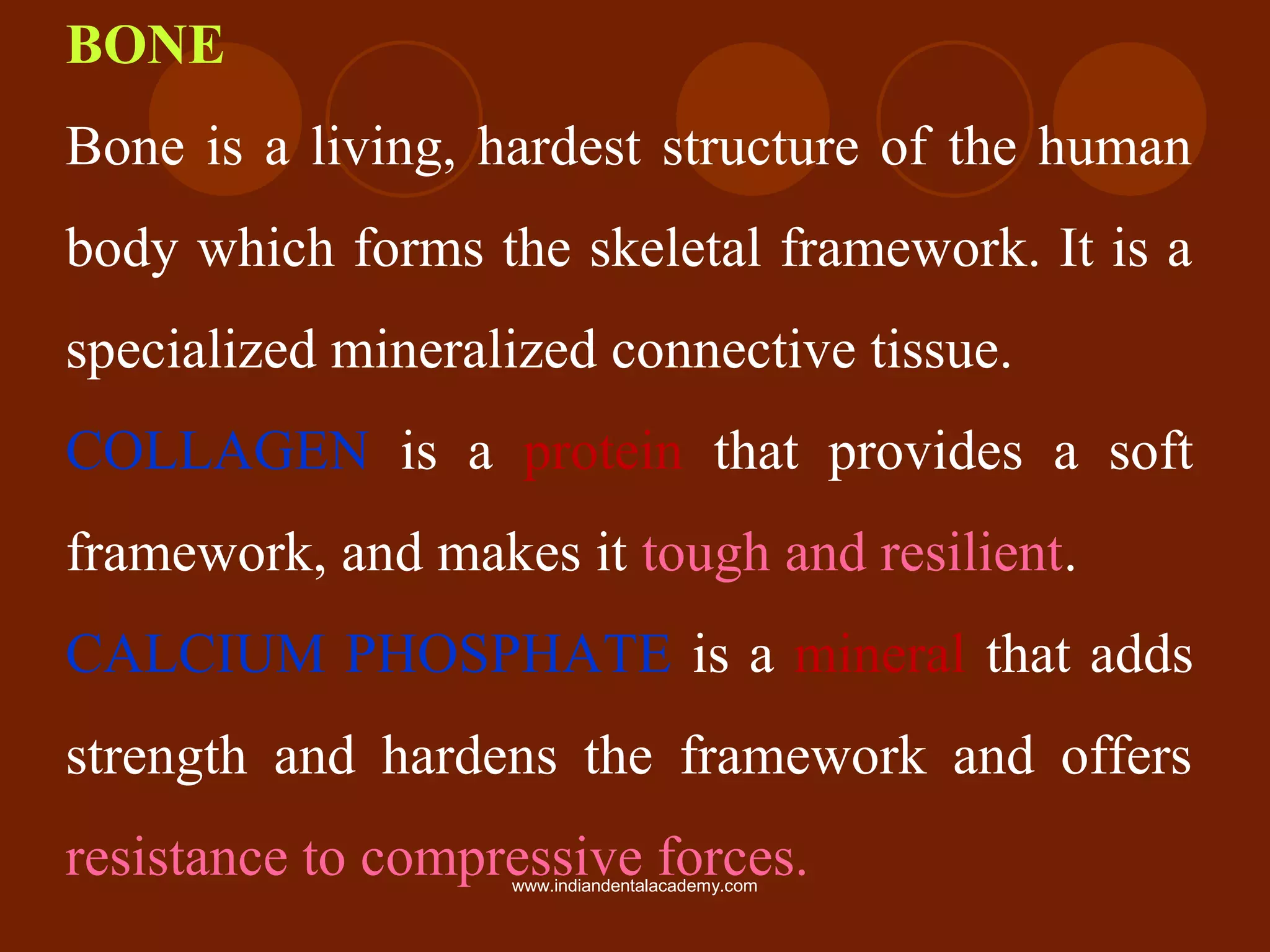 Osteology of maxilla and mandible / oral surgery courses | PPT