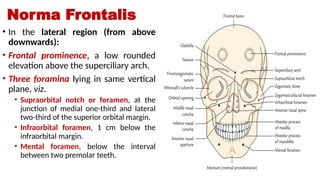 Gross Anatomy Of Head and Neck Osteology of skull.pptx