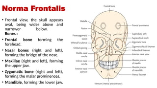 Gross Anatomy Of Head and Neck Osteology of skull.pptx