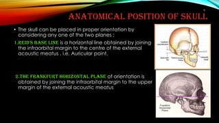 Osteology of skull and cervial vertebrae | PPTX