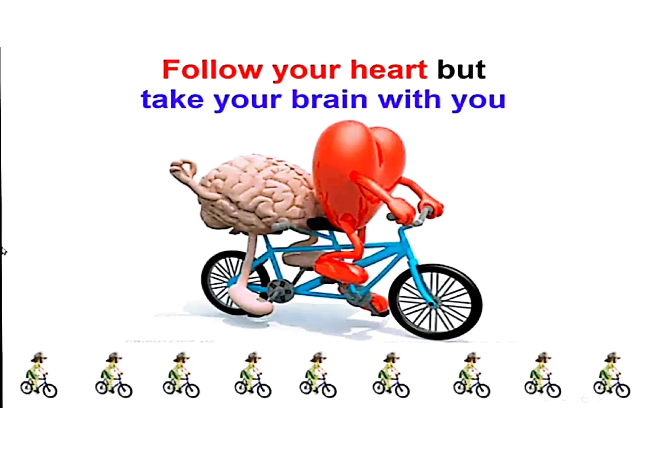 Osteology of the head & neck- Dr. Adel Bondok.pdf