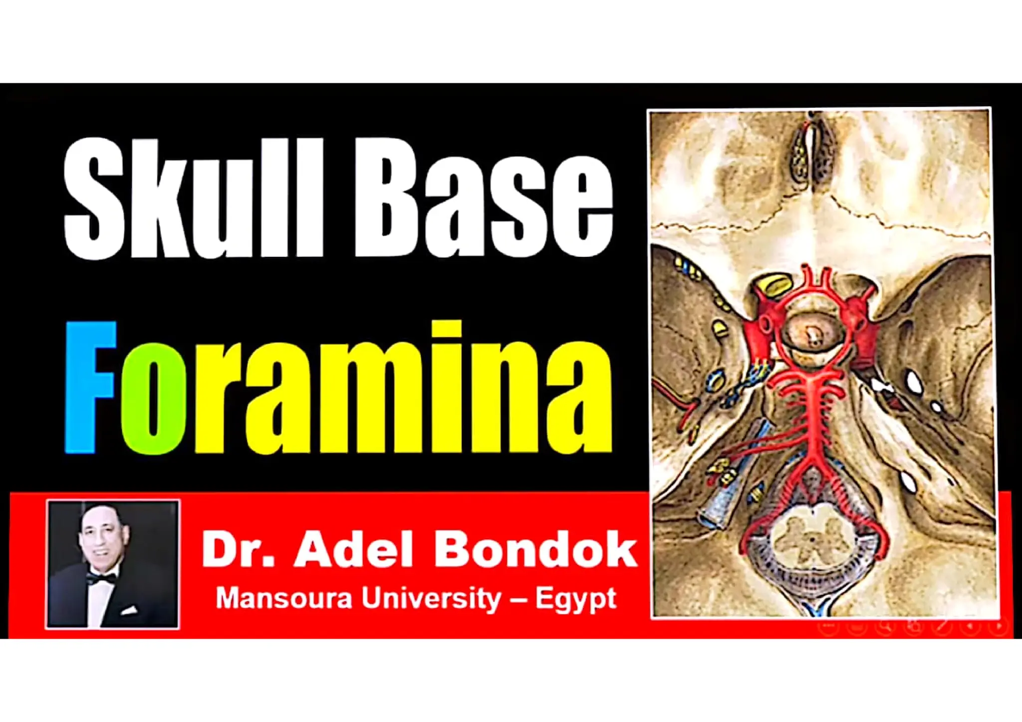 Osteology of the head & neck- Dr. Adel Bondok.pdf