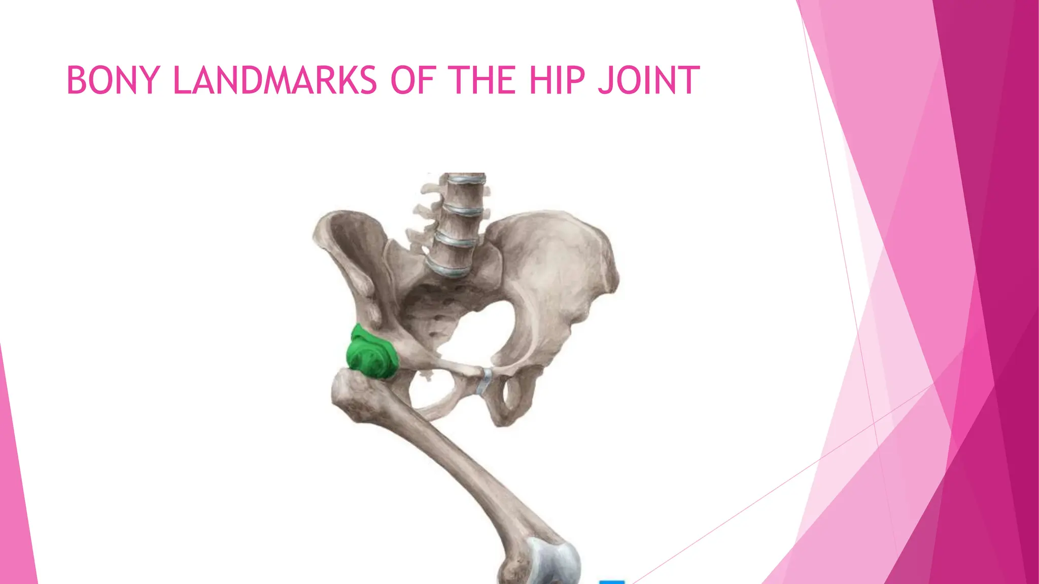 OSTEOLOGY OF THE HIP JOINT presentattion.pptx