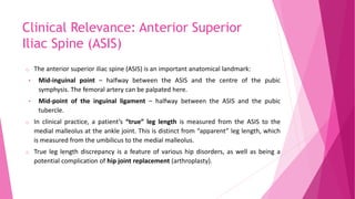 OSTEOLOGY OF THE HIP JOINT presentattion.pptx