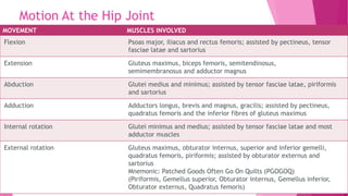 OSTEOLOGY OF THE HIP JOINT presentattion.pptx