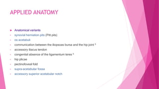 OSTEOLOGY OF THE HIP JOINT presentattion.pptx