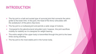 OSTEOLOGY OF THE HIP JOINT presentattion.pptx