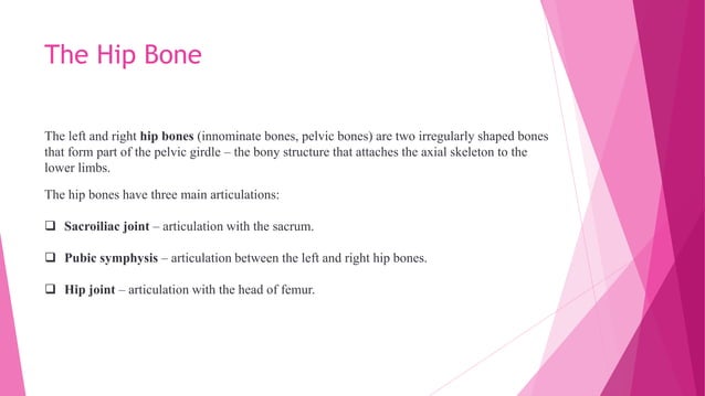 OSTEOLOGY OF THE HIP JOINT presentattion.pptx