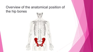 OSTEOLOGY OF THE HIP JOINT presentattion.pptx
