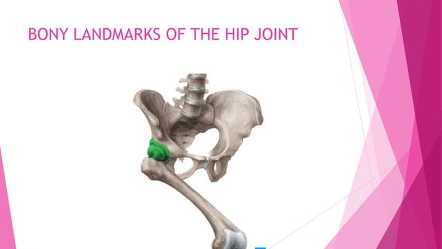 OSTEOLOGY OF THE HIP JOINT presentattion.pptx