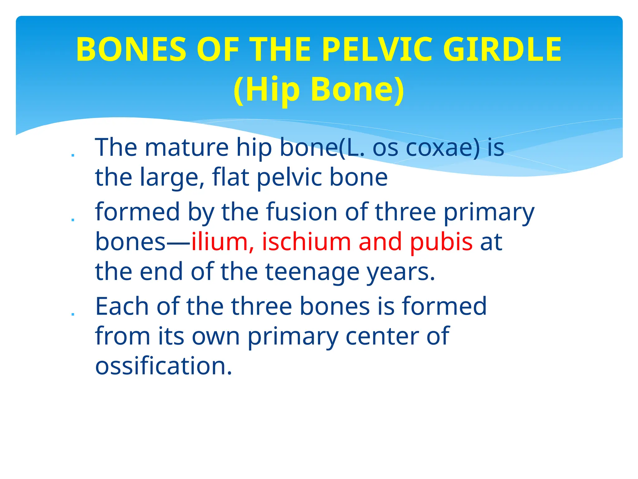 APPLIED ANATOMY OF THE OSTEOLOGY OF THE LOWER LIMB-2.pptx