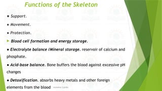 introduction to human skeleton and Osteology of the lower limb | PPTX