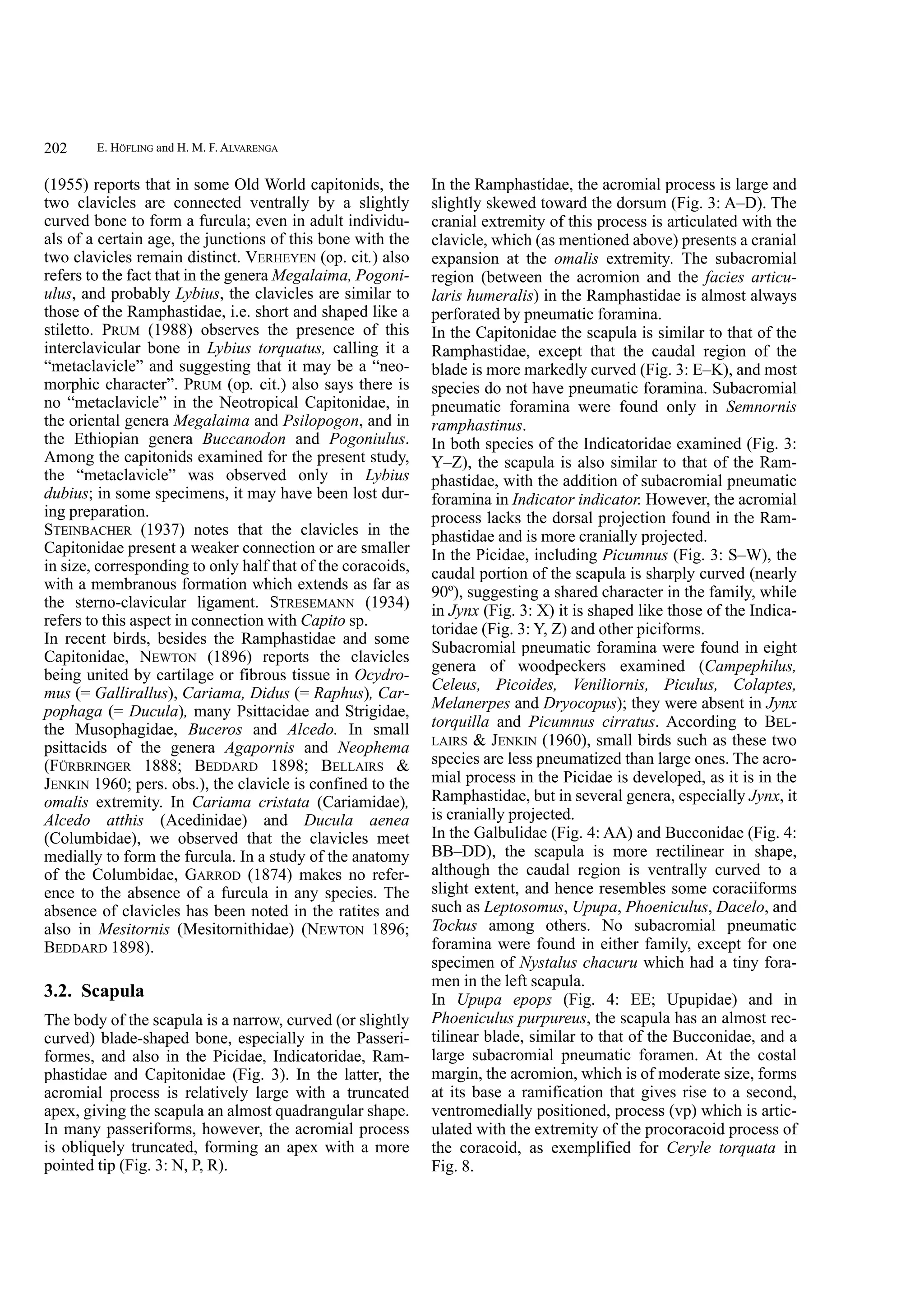 Osteology of the shoulder girdle in the piciformes, passeriformes and ...