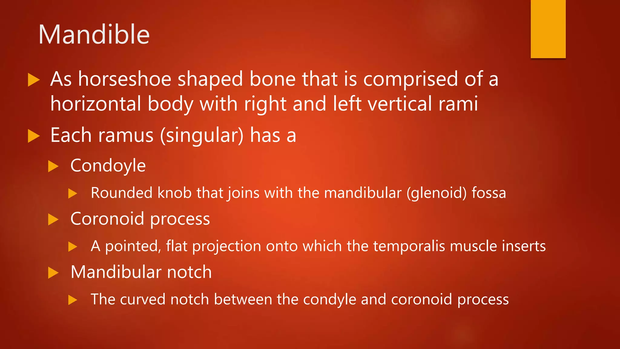 Osteology of the Skull | PPTX
