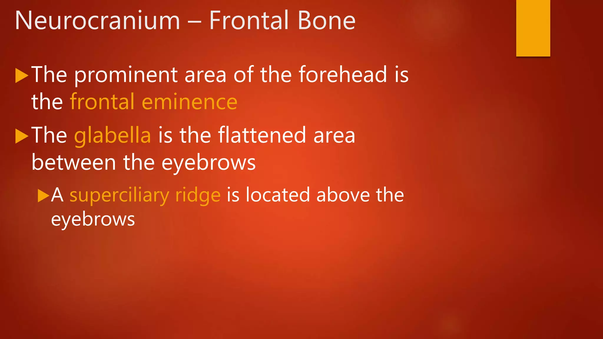 Osteology of the Skull | PPTX