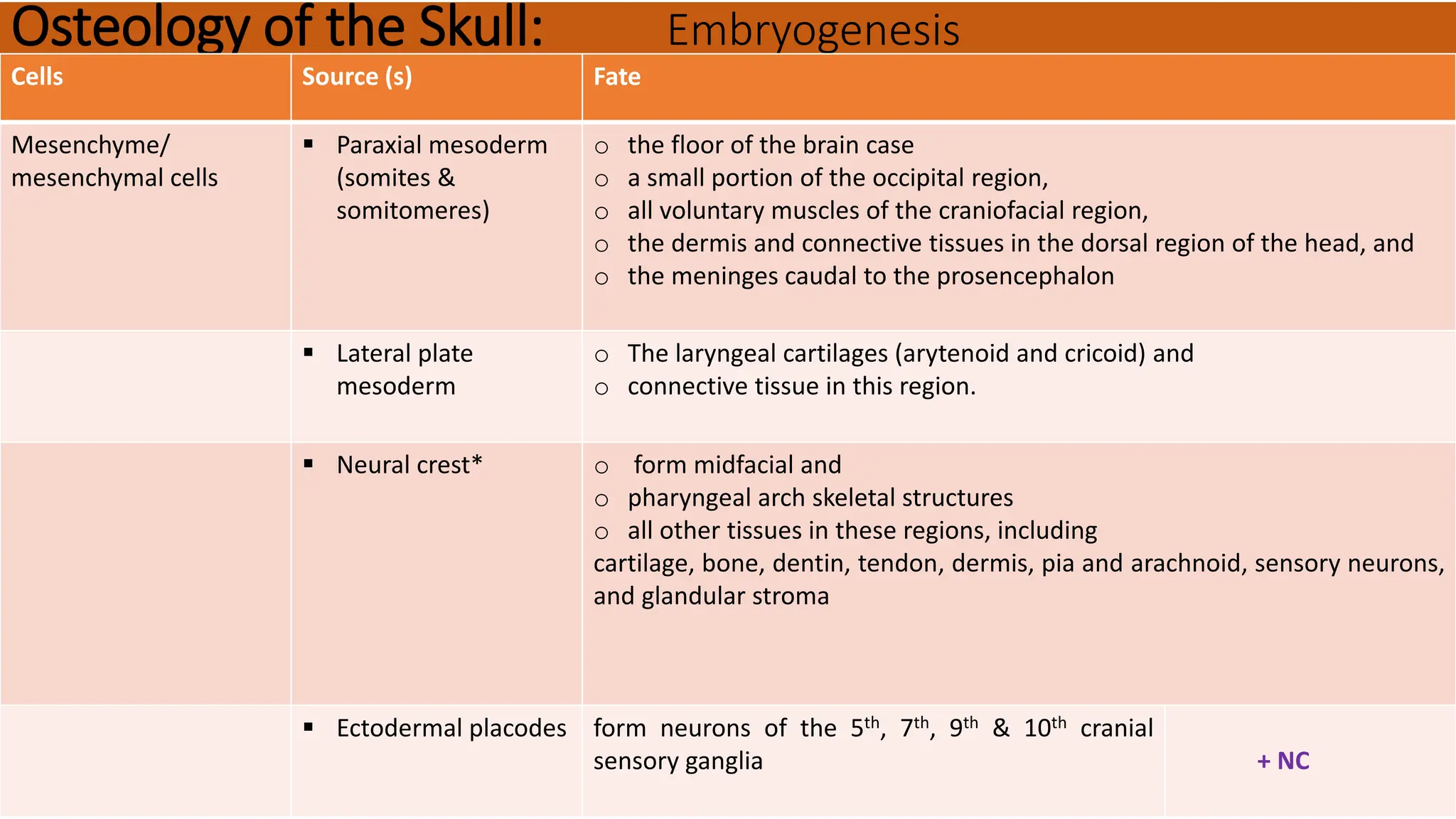 Osteology of the Skull by DR. KENNEDY MUNISI, MD, MMed, MSc. PhD..pptx