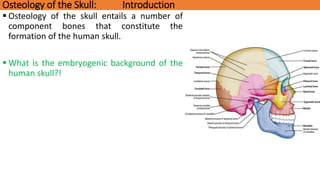 Osteology of the Skull by DR. KENNEDY MUNISI, MD, MMed, MSc. PhD..pptx