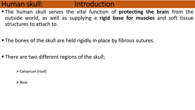 Osteology of the Skull by DR. KENNEDY MUNISI, MD, MMed, MSc. PhD..pptx