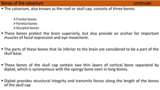 Osteology of the Skull by DR. KENNEDY MUNISI, MD, MMed, MSc. PhD..pptx