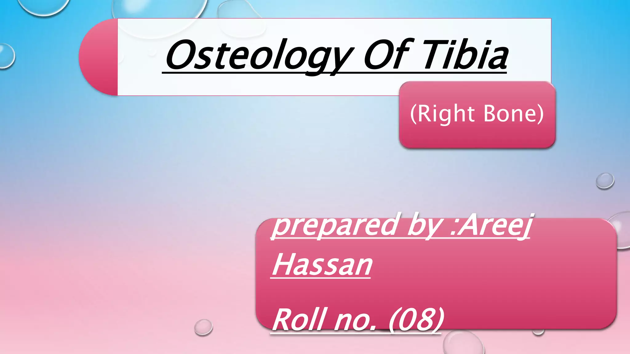 Osteology of tibia | PPTX