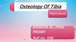 Osteology of tibia | PPTX