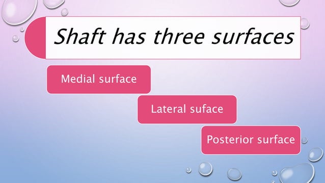 Osteology of tibia | PPTX