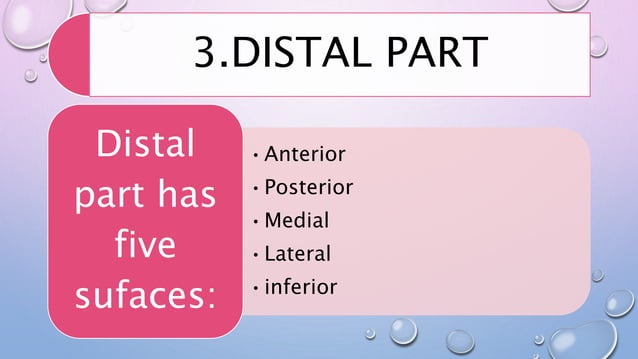 Osteology of tibia | PPTX