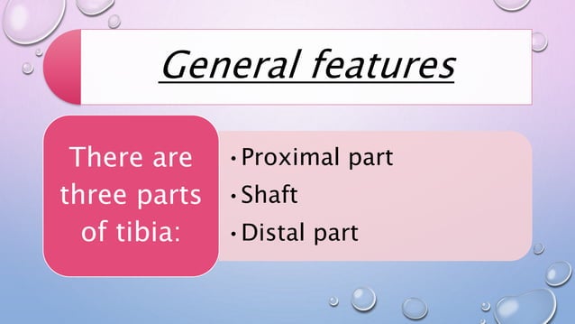 Osteology of tibia | PPTX