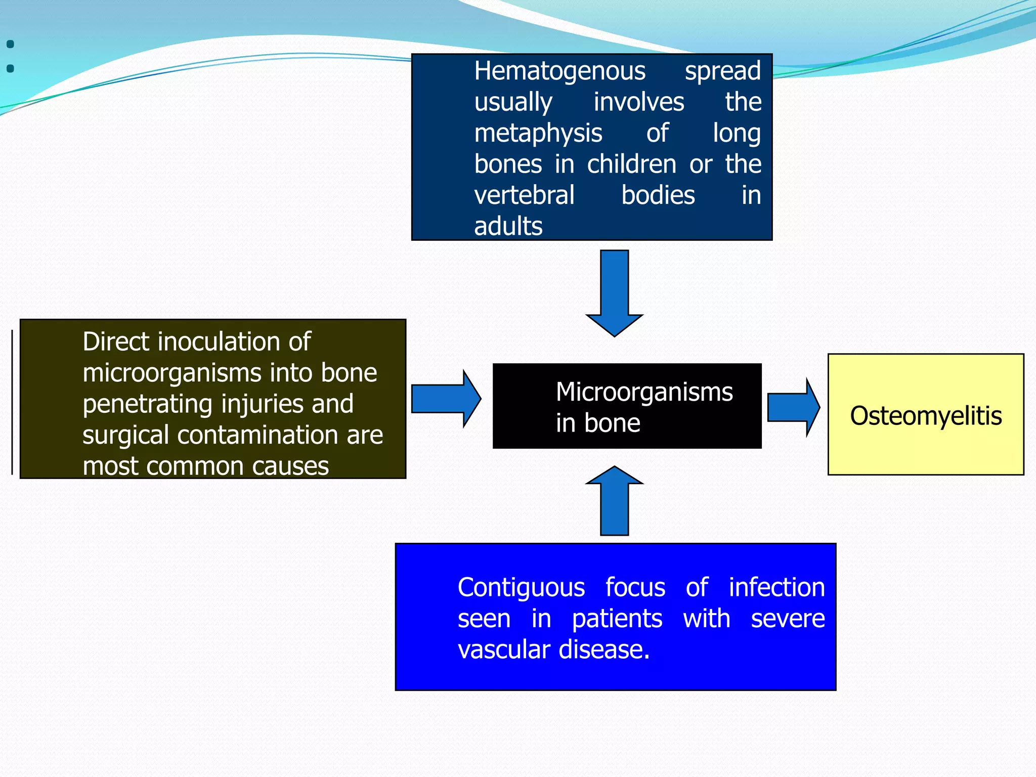 Osteomyelitis | PPTX
