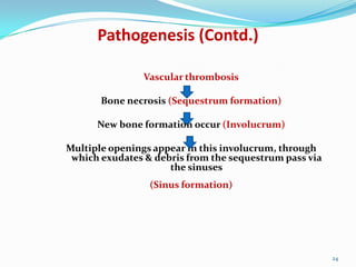 Osteomyelitis | PPT