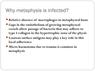 Osteomyelitis | PPT