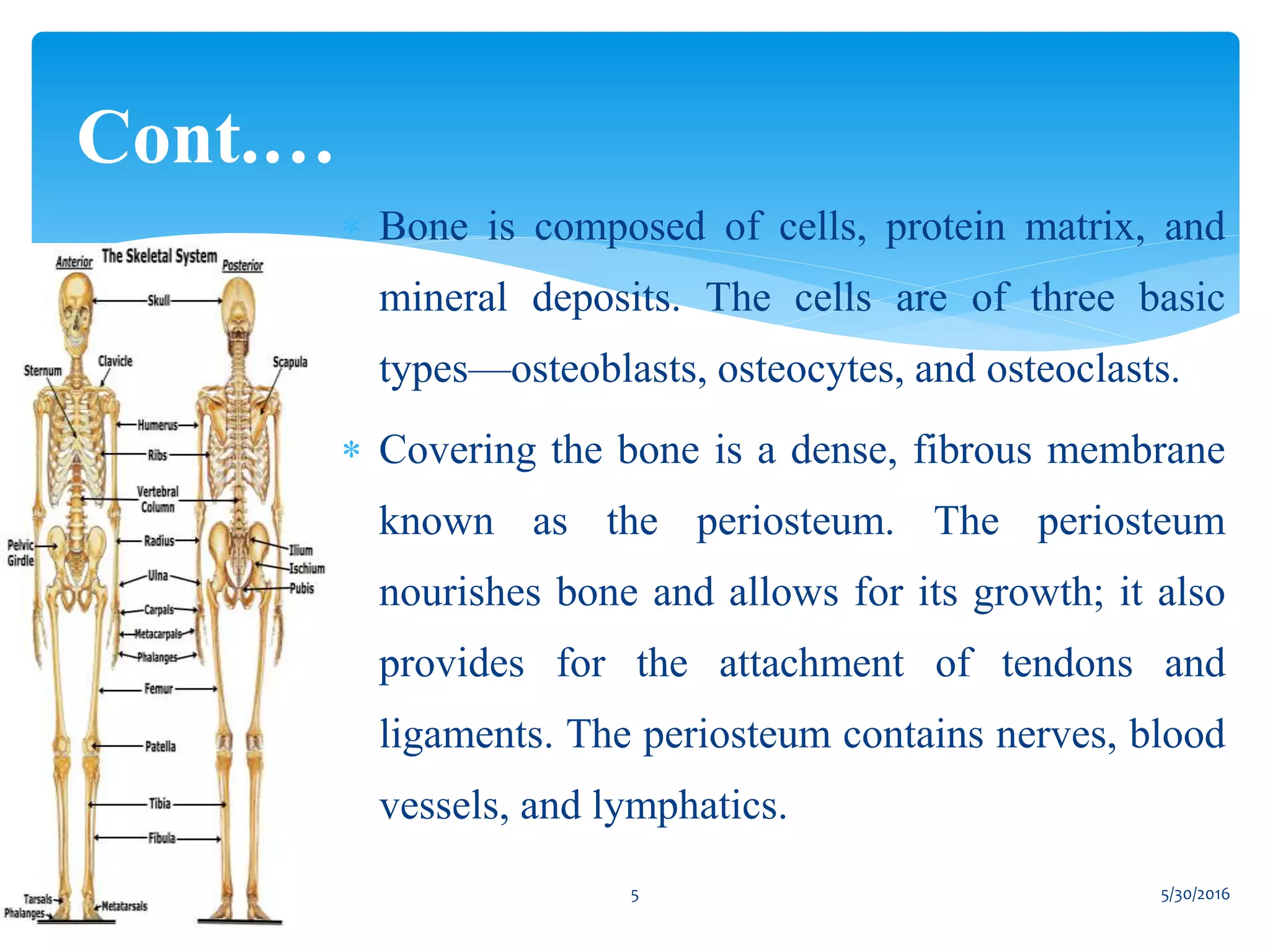 Osteomyelitis | PPTX