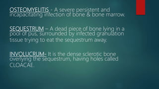 Osteomyelitis- through the student glasses | PPT | Free Download