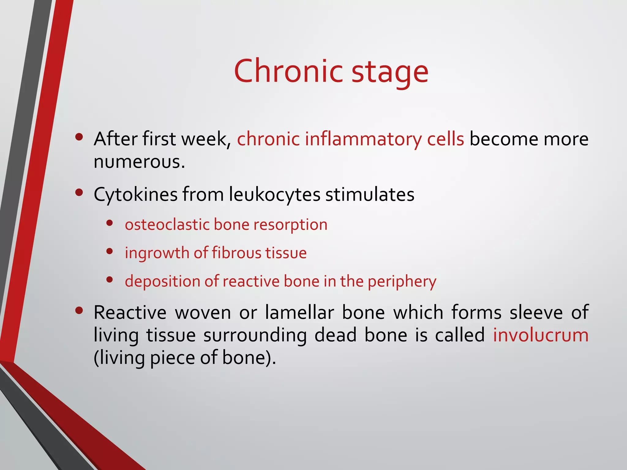 Osteomyelitis | PPT