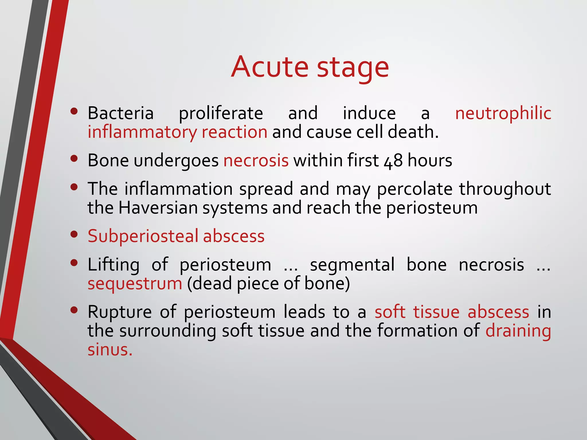 Osteomyelitis | PPT