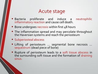 Osteomyelitis | PPT