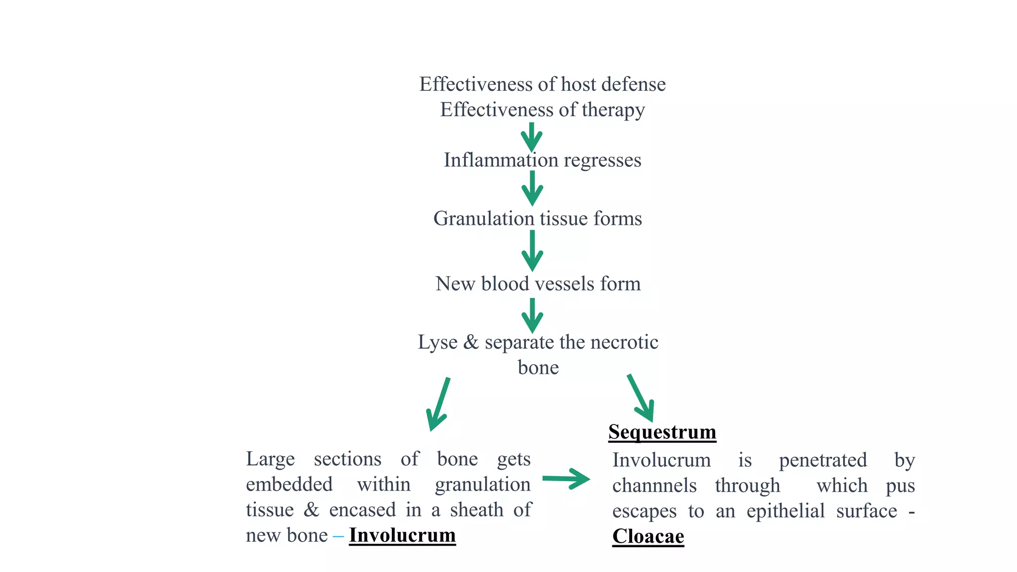 Osteomyelitis of facial skeleton | PPTX