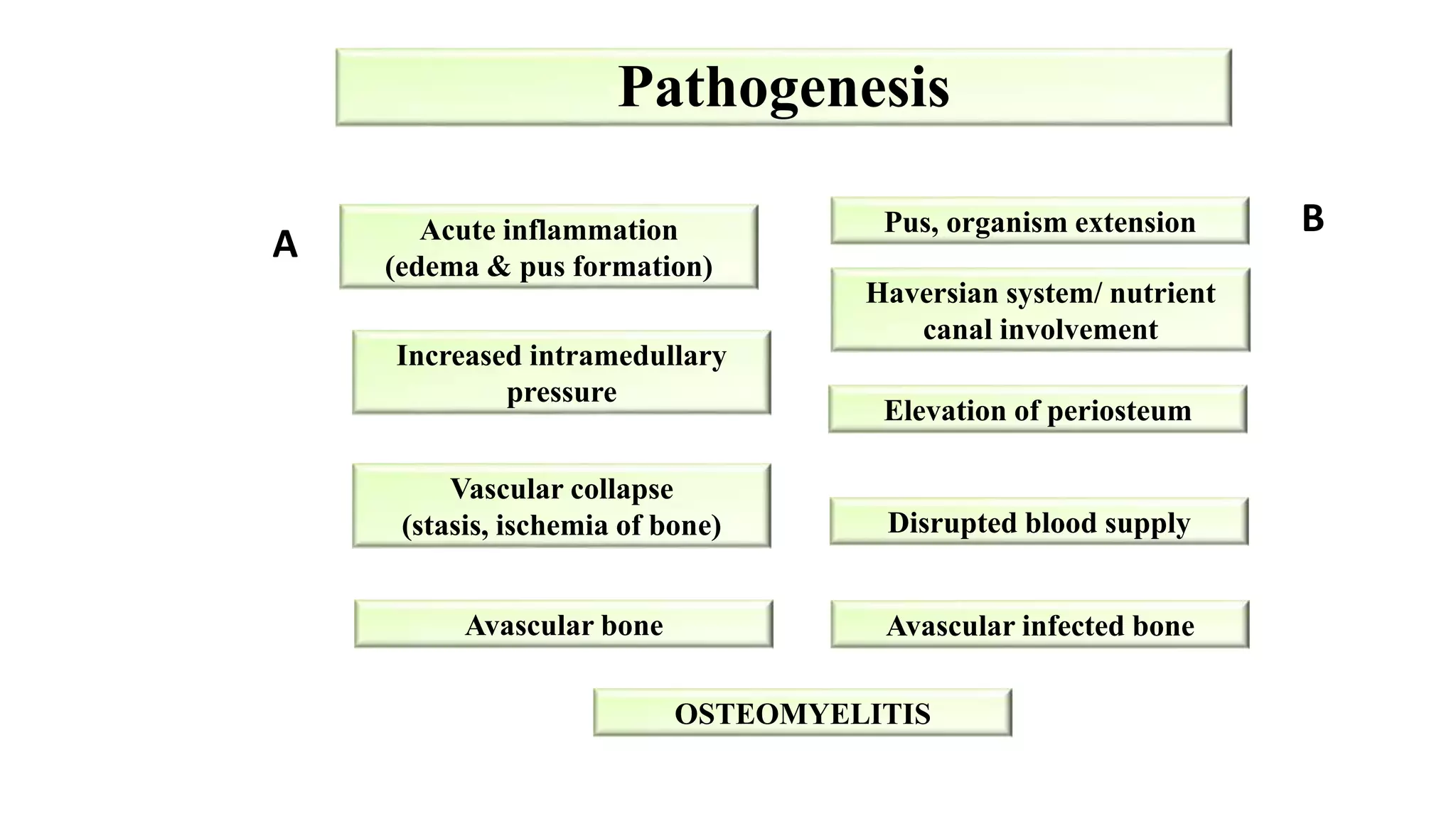 Osteomyelitis of facial skeleton | PPTX