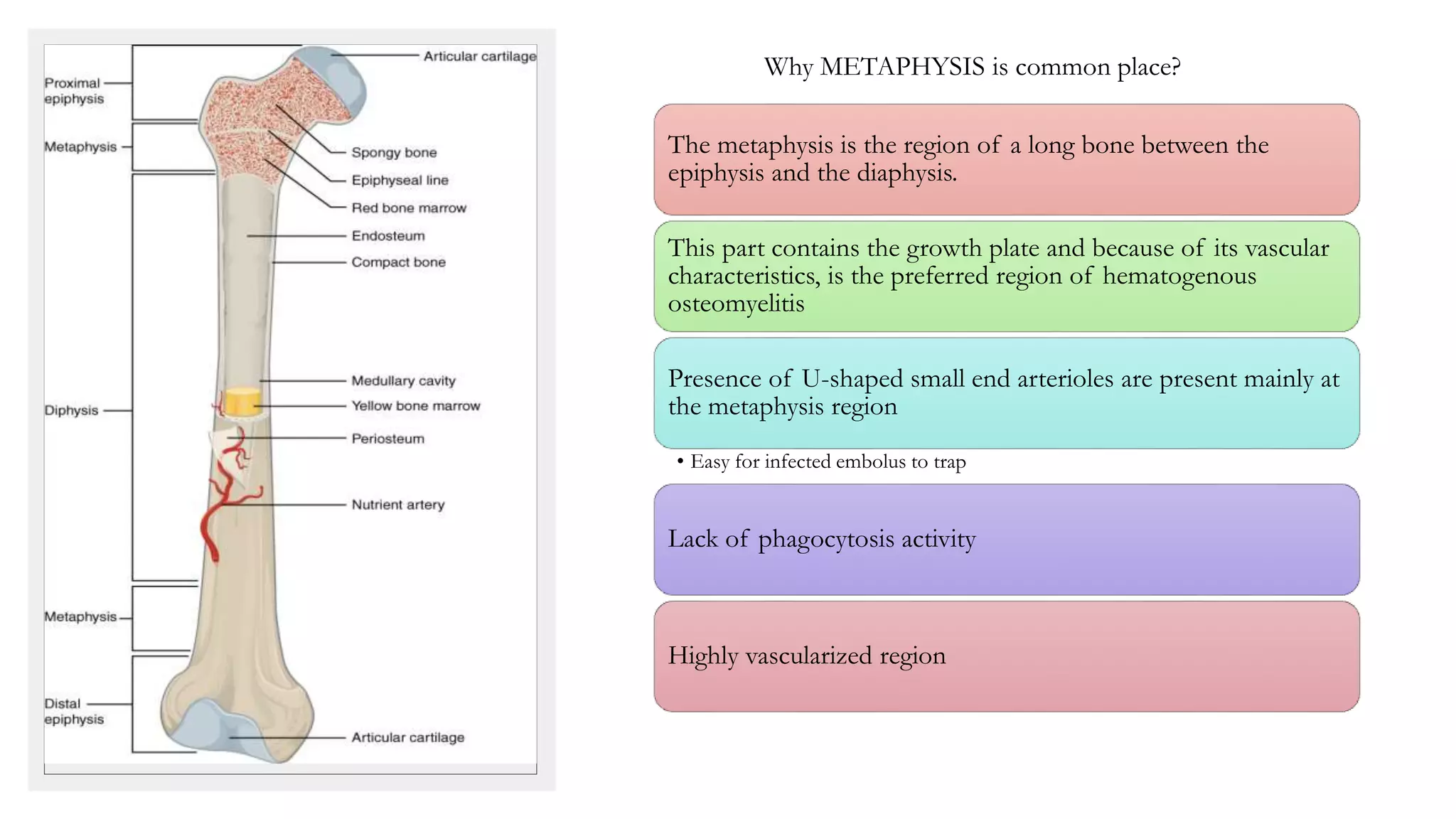 osteomyelitis.pptx