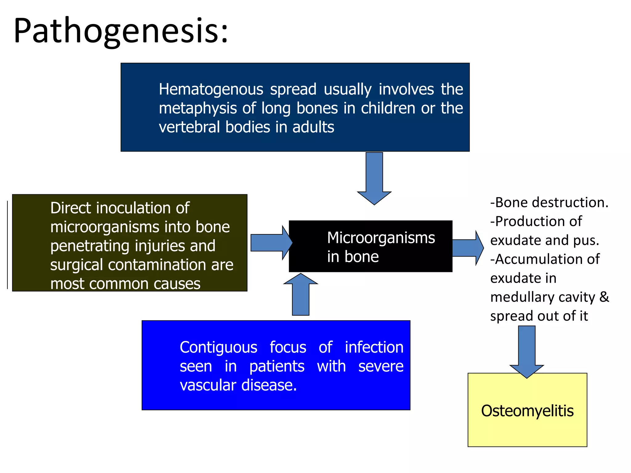 OSTEOMYELITIS | PPTX