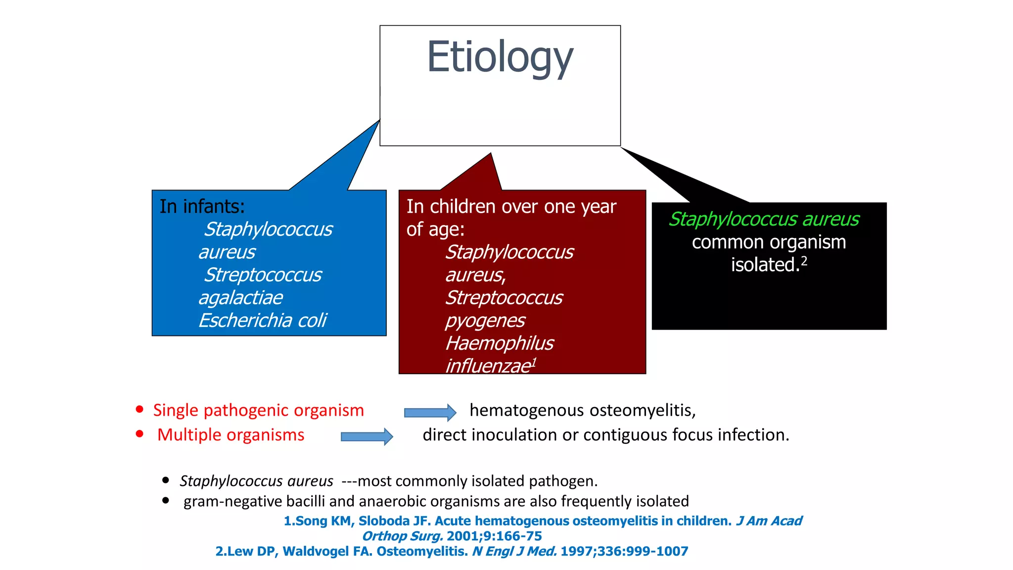 OSTEOMYELITIS.pdf
