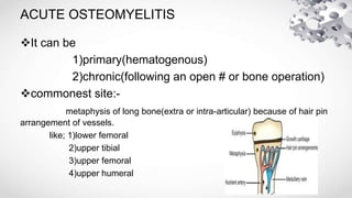 osteomyelitis non trauma pptx | PPT