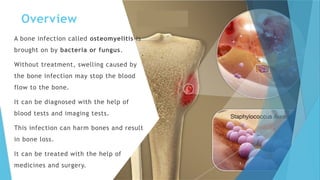 Osteomyelitis.university.presentation.pptx