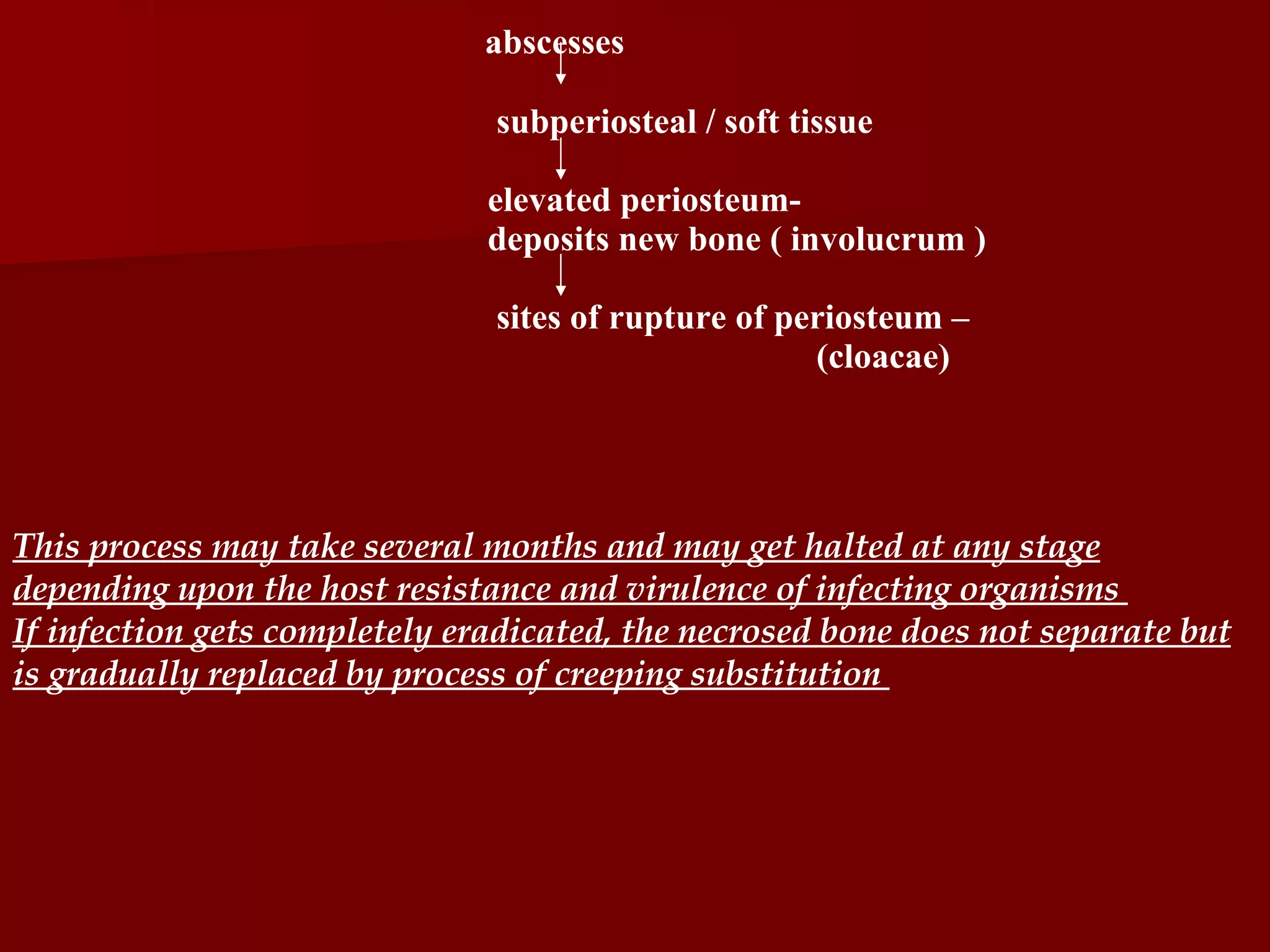 Osteomyelitis In Adults | PPT