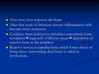 Osteomyelitis | PPT