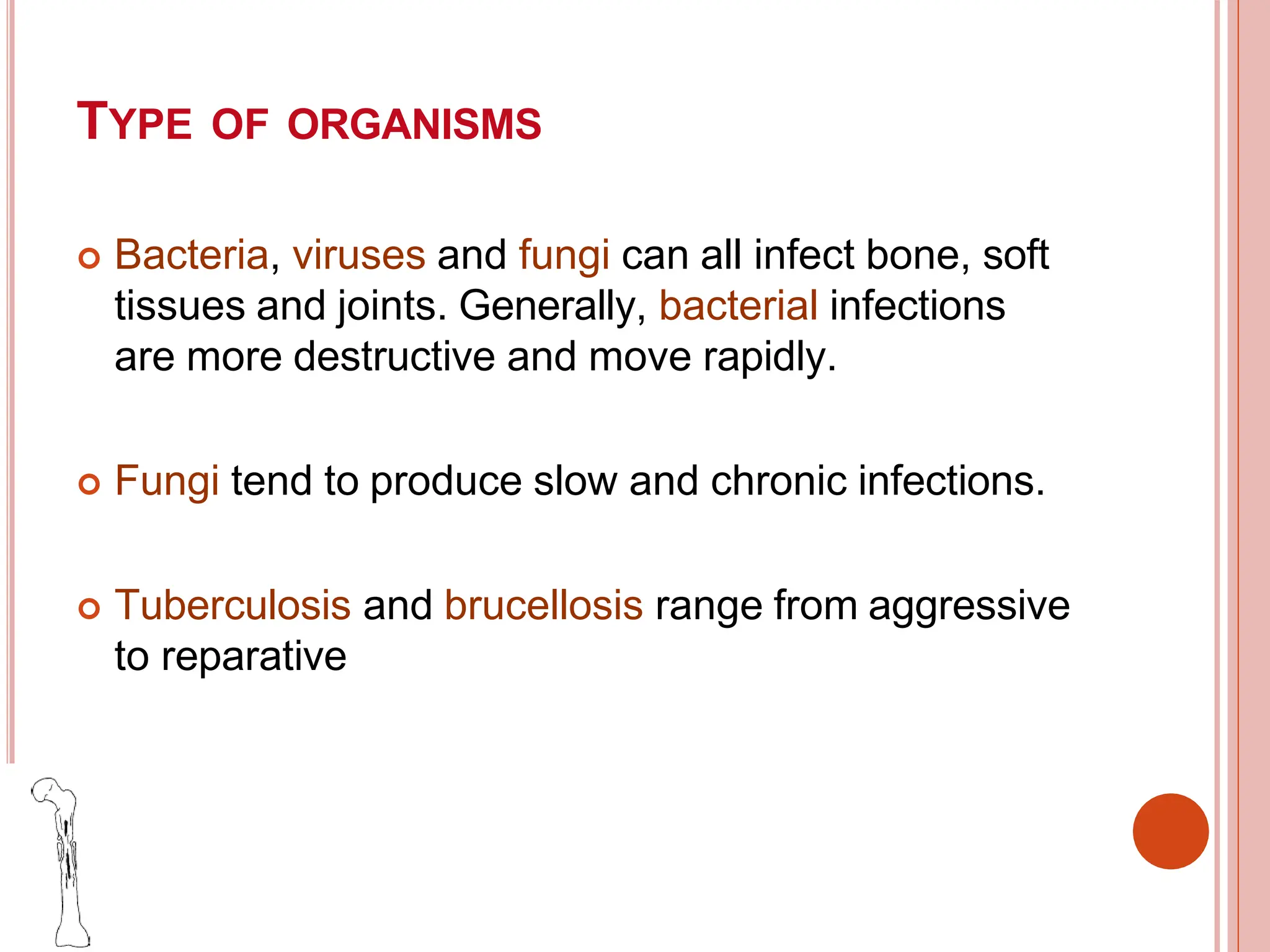 osteomyelitis-Types, clinic features and treatment.pptx | Bone and ...
