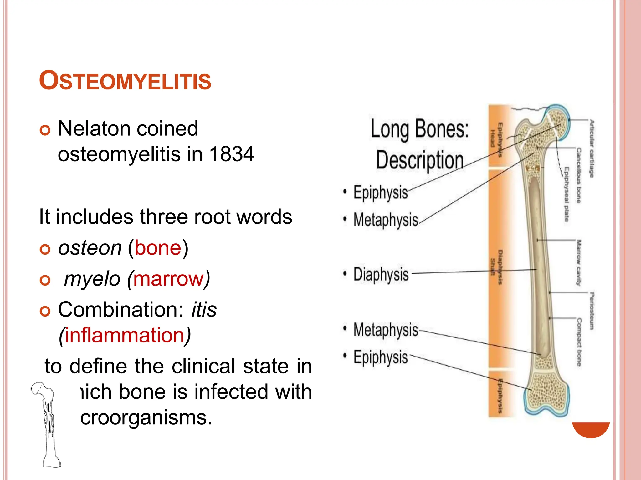 osteomyelitis-Types, clinic features and treatment.pptx