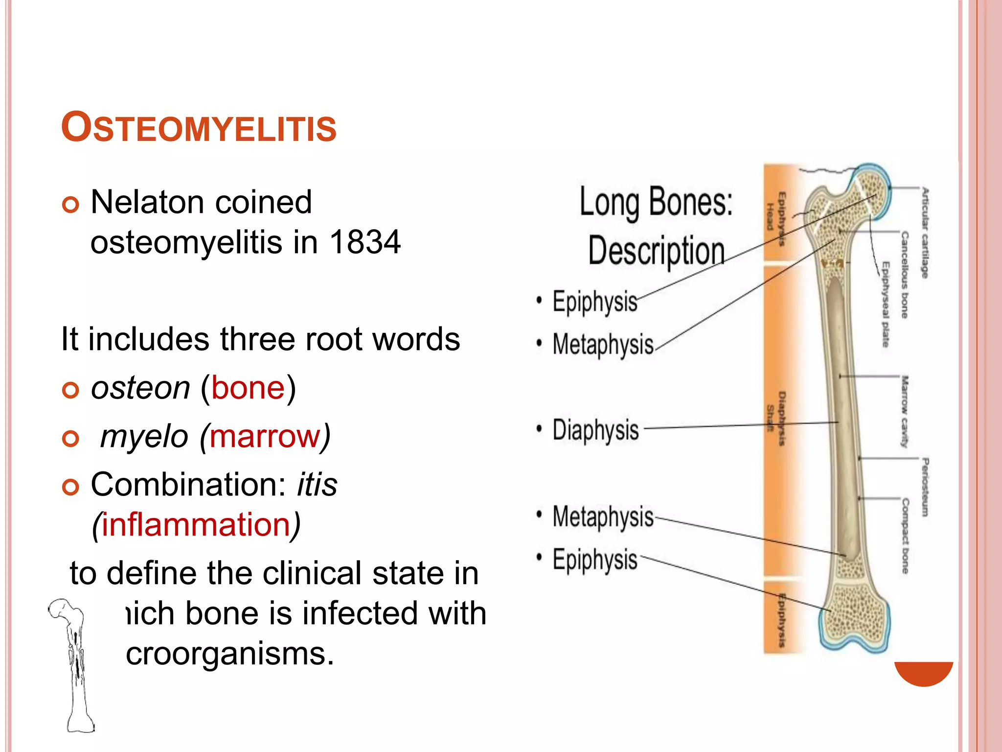 Osteomyelitis | PPTX